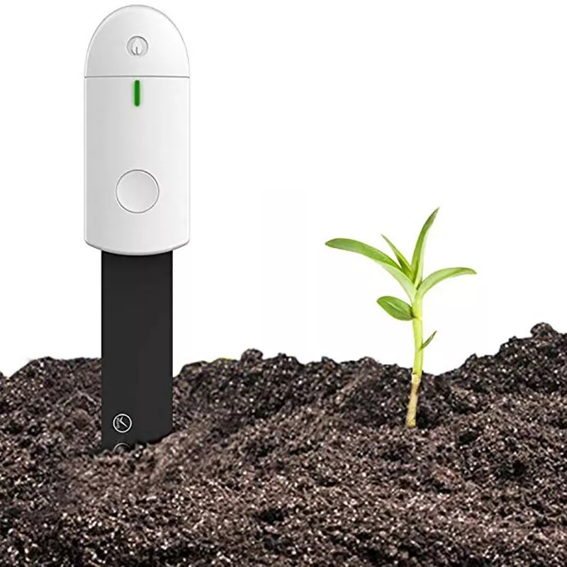 Wearable Plant Sensor - 2024 - Digiknowledge